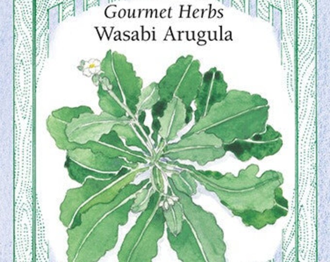 Wasabi Arugula - Seed Packet - Etsy