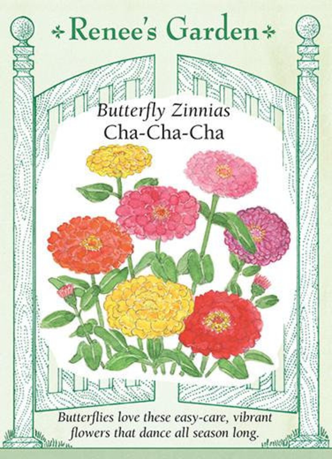 Cha-cha-cha Zinnia - Seed Packet - Etsy