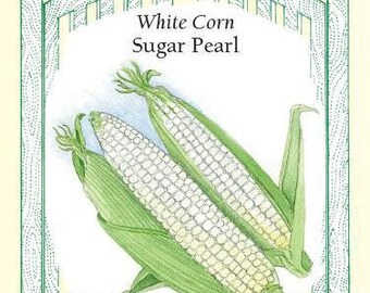 Merit Sweet Corn Seed | Etsy
