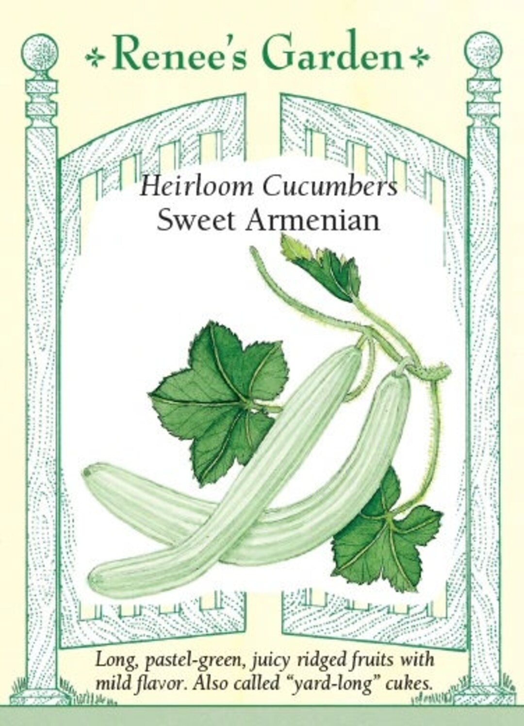 Sweet Armenian Cucumbers - Seed Packet - Etsy
