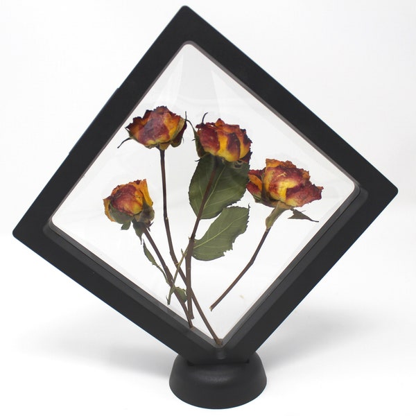Pressed Flower Frame - Etsy