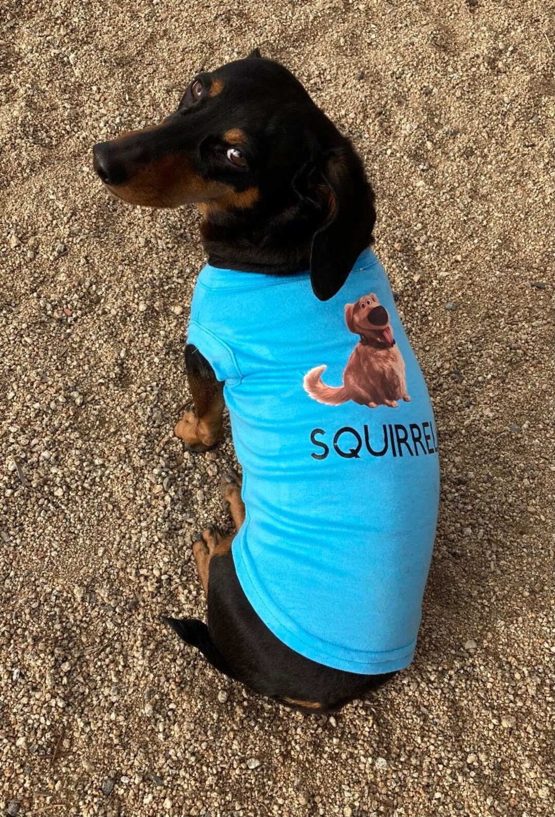 Squirrel Dog Hoodie Disney Movie up Doug Jacket - Etsy