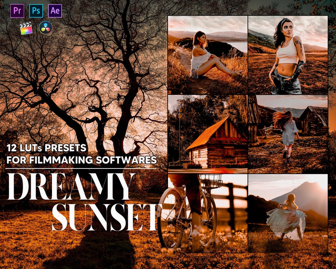 12 Dreamy Sunset Luts Presets, Golden Hour LUT Preset, Autumn Filter ...