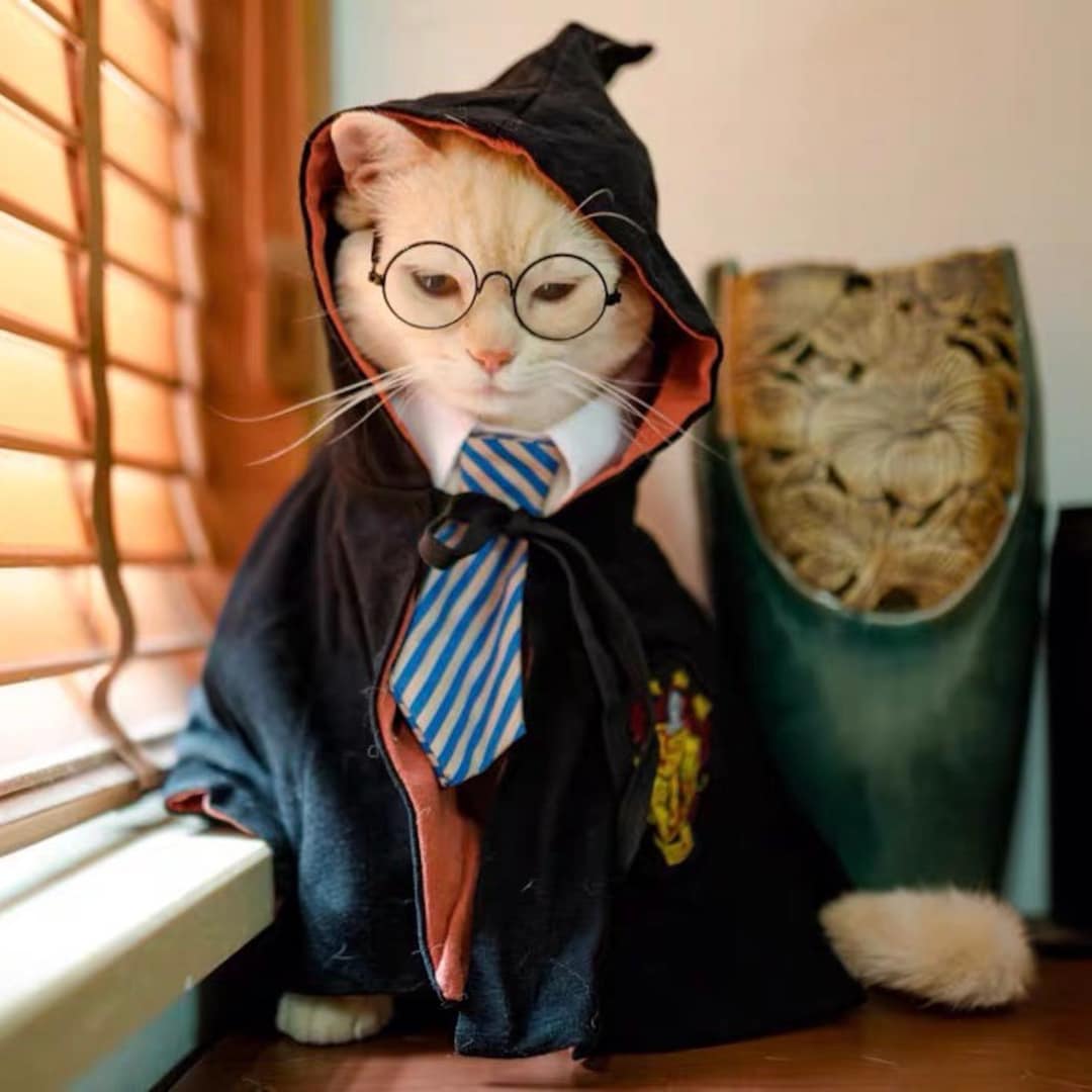 Wizard Cat Robes, Witch Dog Cape, Wizard Pet Costume - Etsy