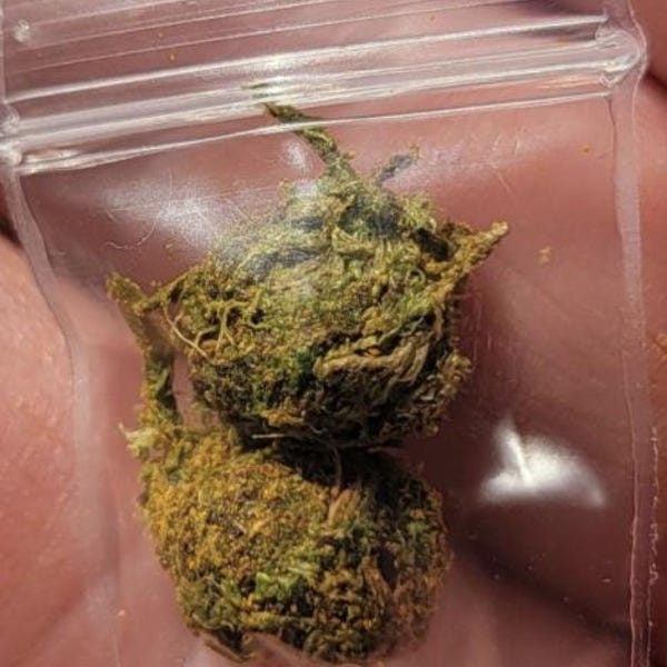 Fake Marijuana Plant - Etsy