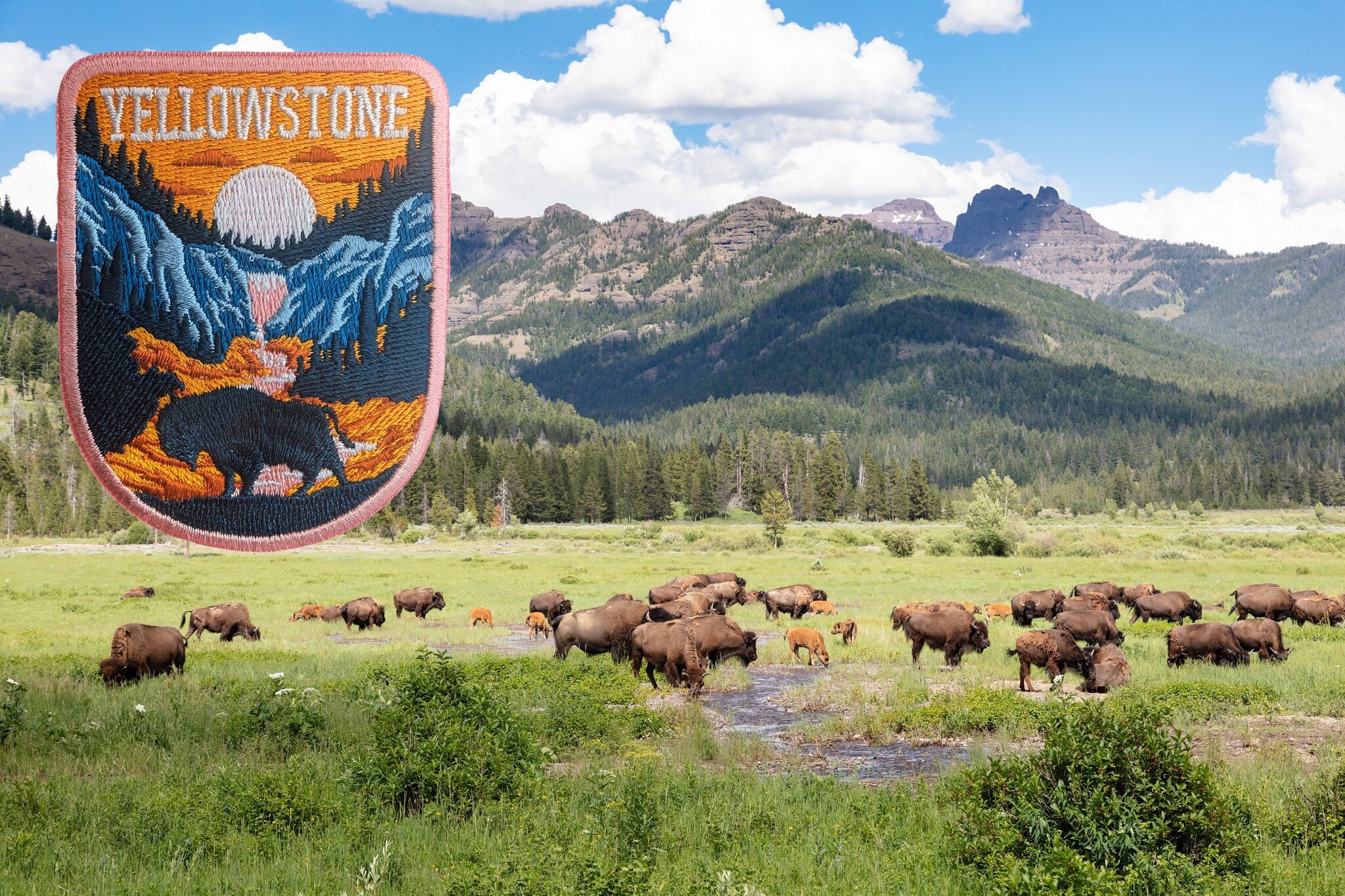 Yellowstone National Park USA 3" Travel Patch Embroidered Iron on Sew ...