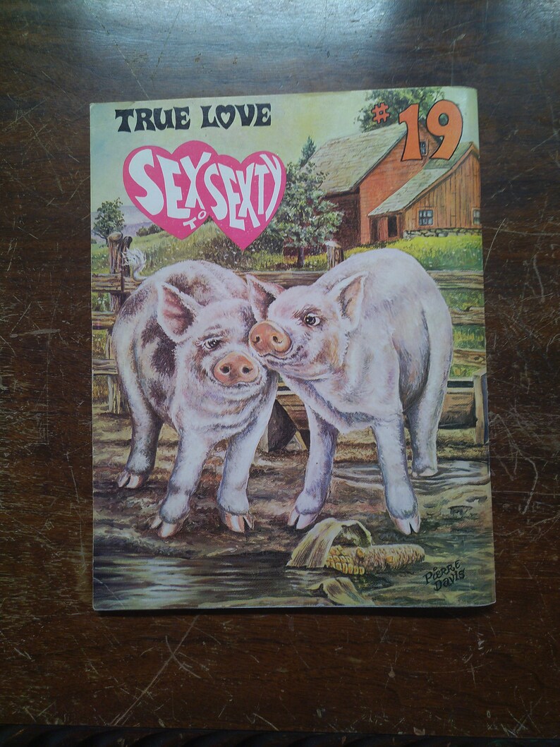 Vintage Comic Book Sex To Sexty Sri Publishing Adults Only Etsy