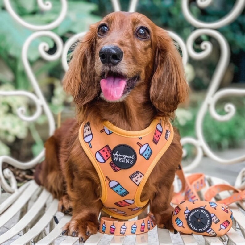 Boba Dog Reversible Harness Harness and Leash Set Boba Lead - Etsy