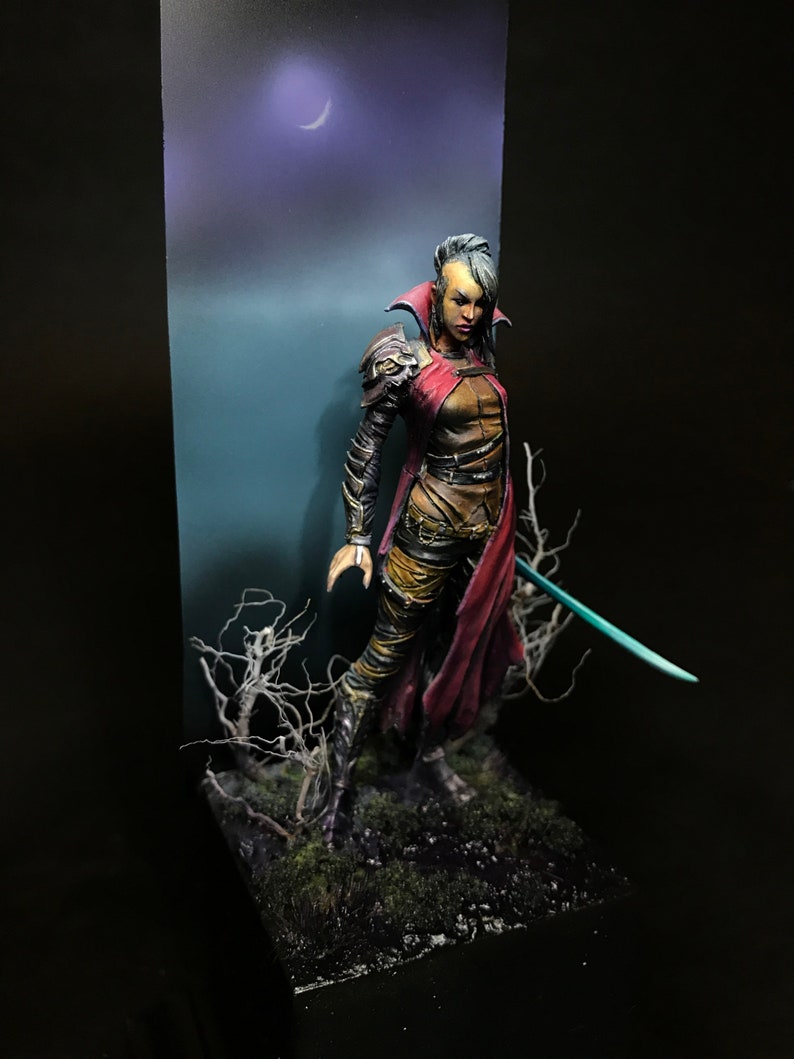 Stunning Custom Pro-painted to Order Display Miniatures and Busts on ...