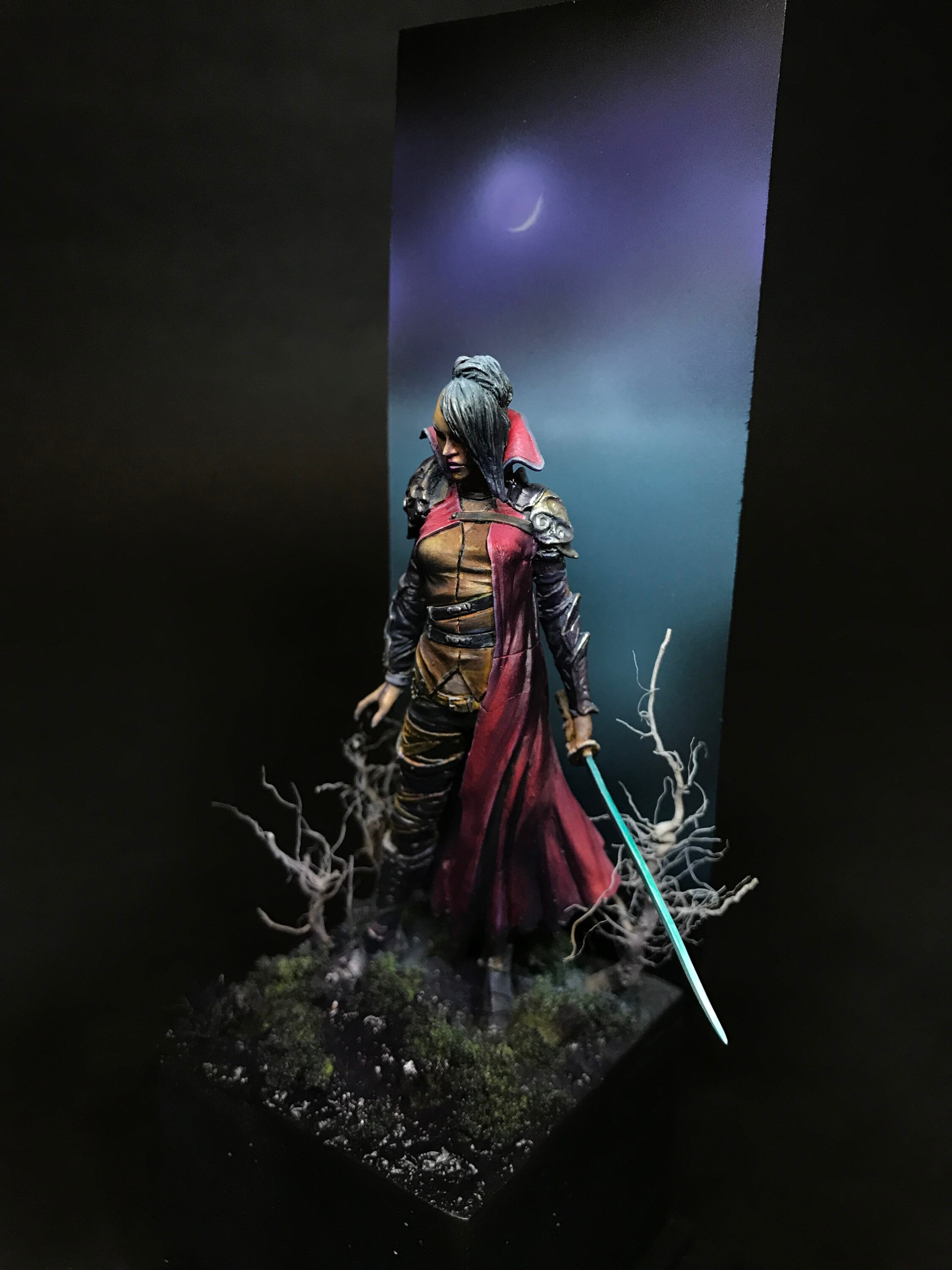 Stunning Custom Pro-painted to Order Display Miniatures and Busts on ...