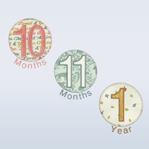 Baby Monthly Milestone Applique Design | All 12 Months | Baby's First ...