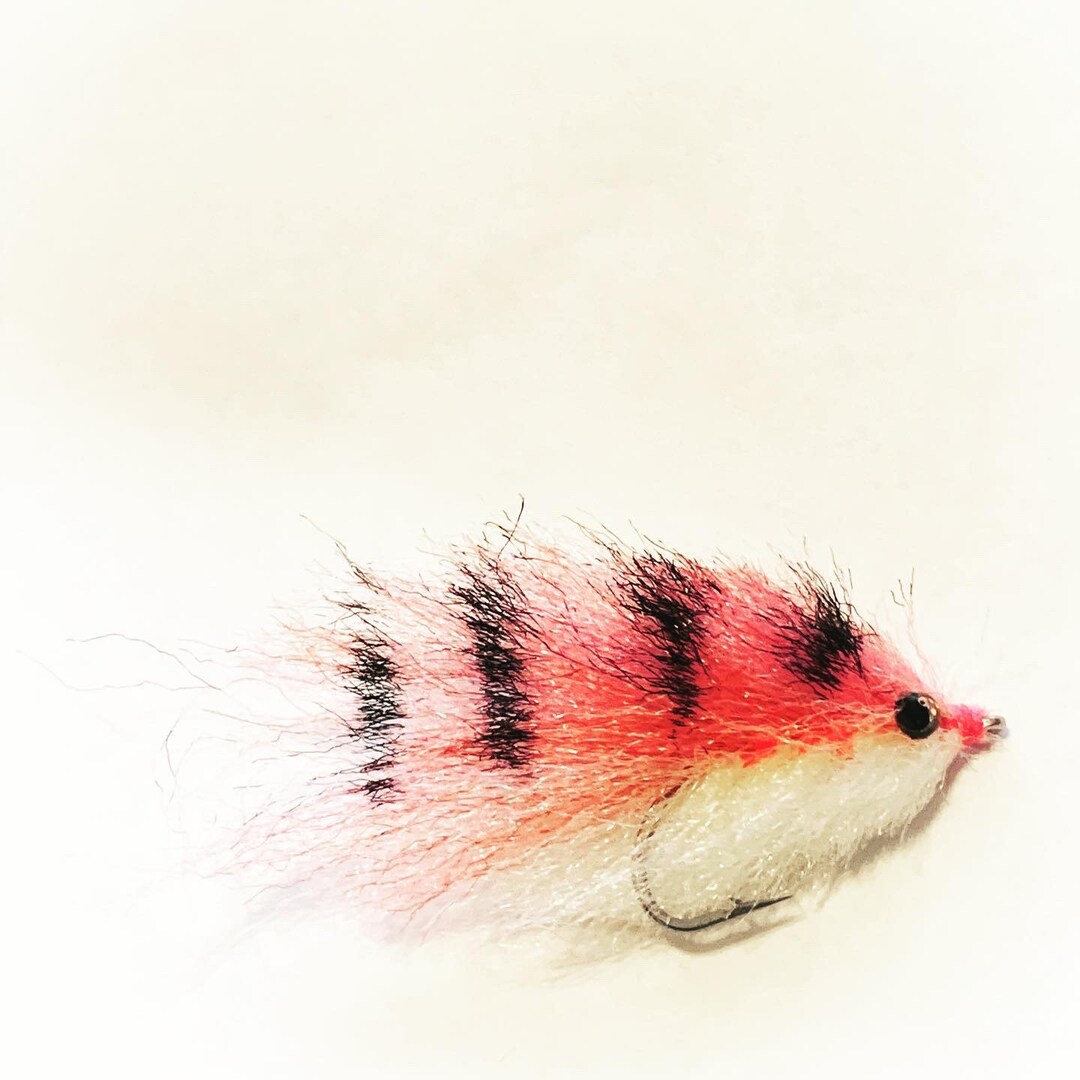 EP Fiber Bait Fish Fly Bait Fish Fly. Saltwater Fly - Etsy