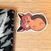 Cat-ra Sticker Pack - Etsy