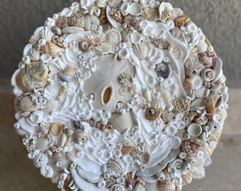 3D Shell Sculpture, Sea Coral Decor, Minimalist Modern, Shell Wave Art ...