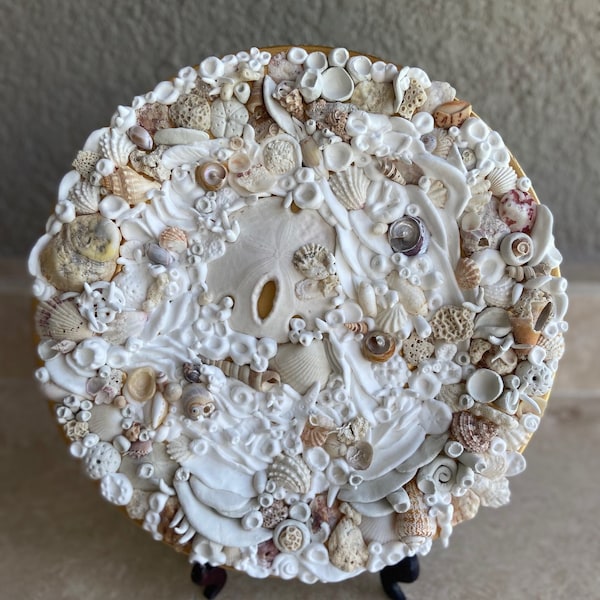 Sea Shell Sculpture - Etsy