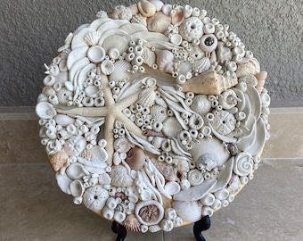 3D Shell Sculpture, Sea Coral Decor, Minimalist Modern, Shell Wave Art ...