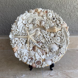 3D Shell Sculpture, Sea Coral Decor, Minimalist Modern, Shell Wave Art ...