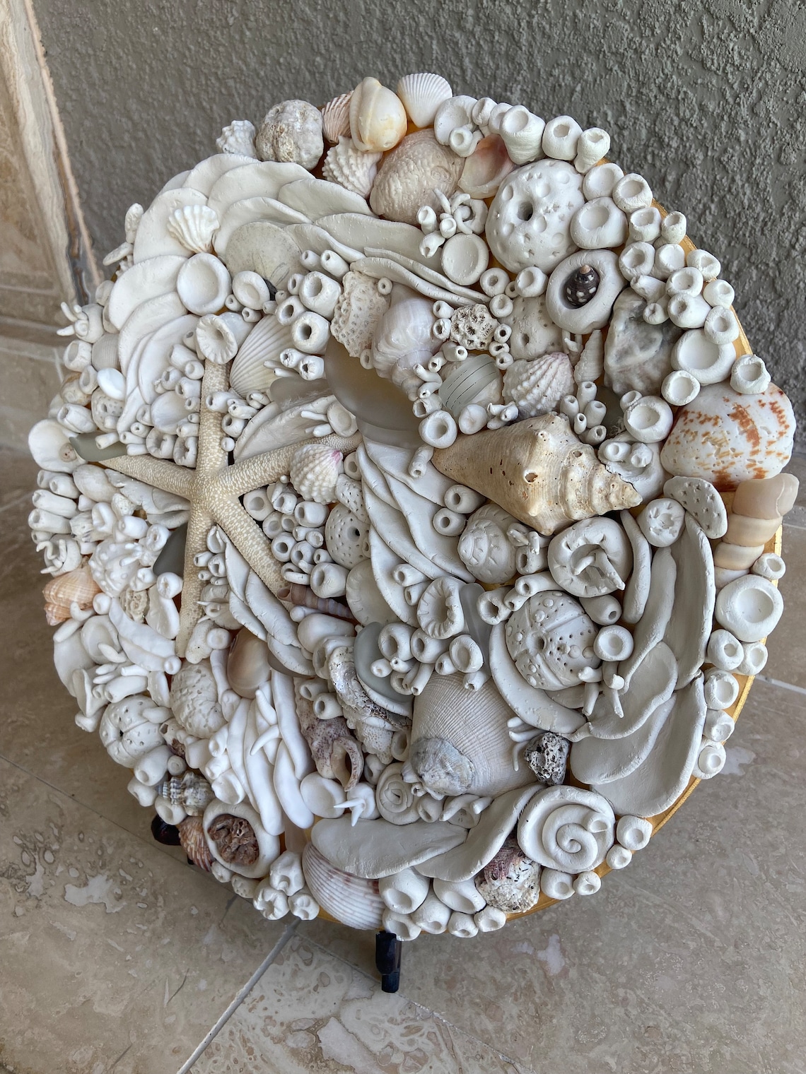 3D Shell Sculpture, Sea Coral Decor, Minimalist Modern, Shell Wave Art ...