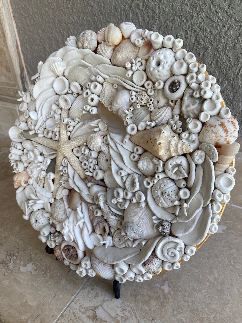 3D Shell Sculpture, Sea Coral Decor, Minimalist Modern, Shell Wave Art ...