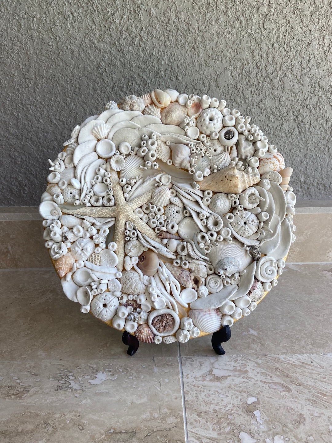 3D Shell Sculpture, Sea Coral Decor, Minimalist Modern, Shell Wave Art ...