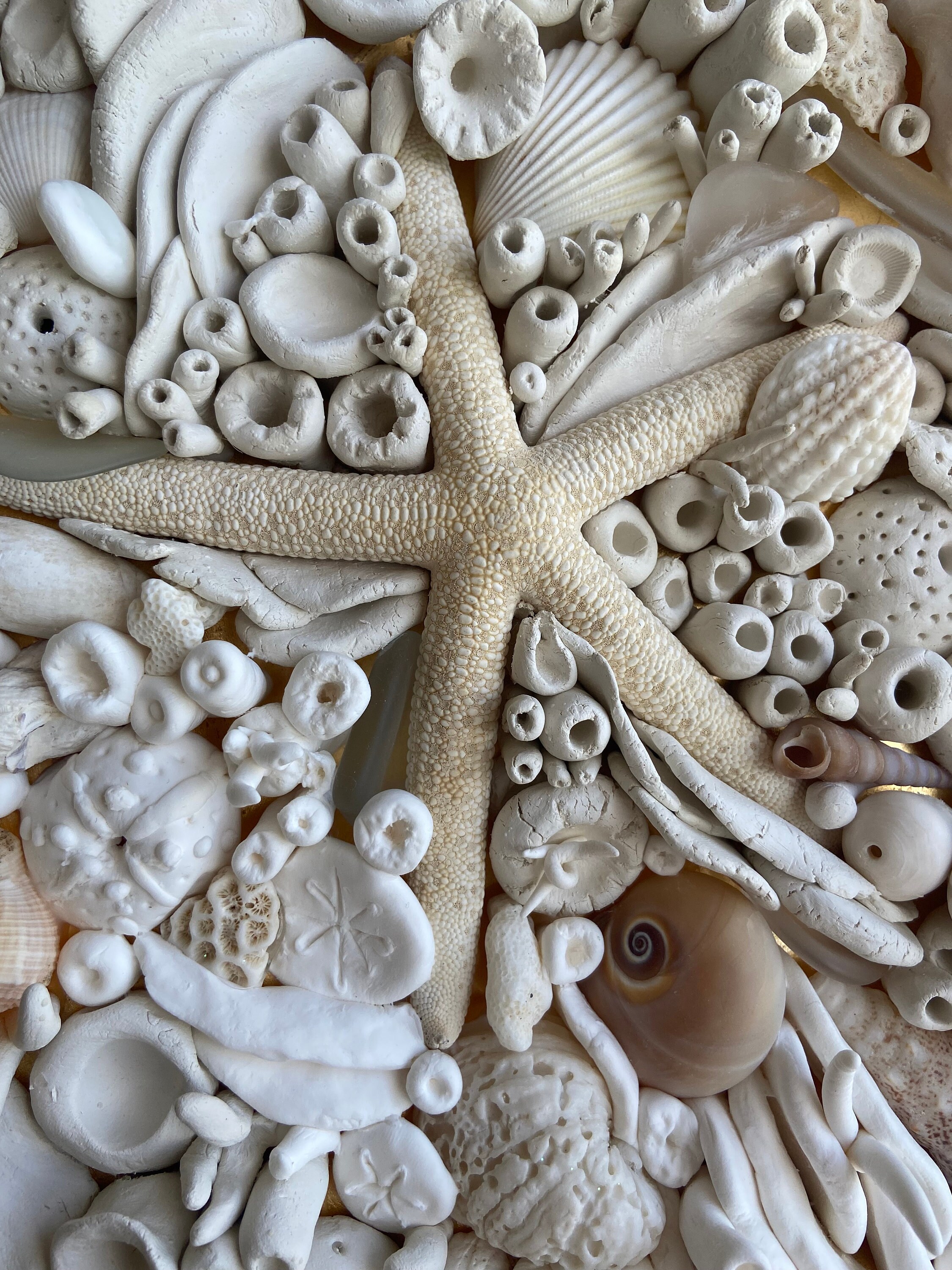 3D Shell Sculpture, Sea Coral Decor, Minimalist Modern, Shell Wave Art ...