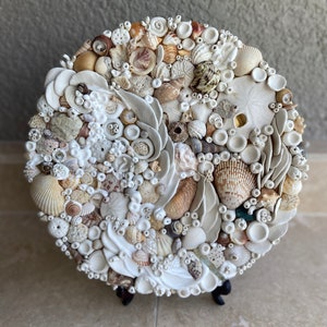 3D Shell Sculpture, Sea Coral Decor, Minimalist Modern, Shell Wave Art ...