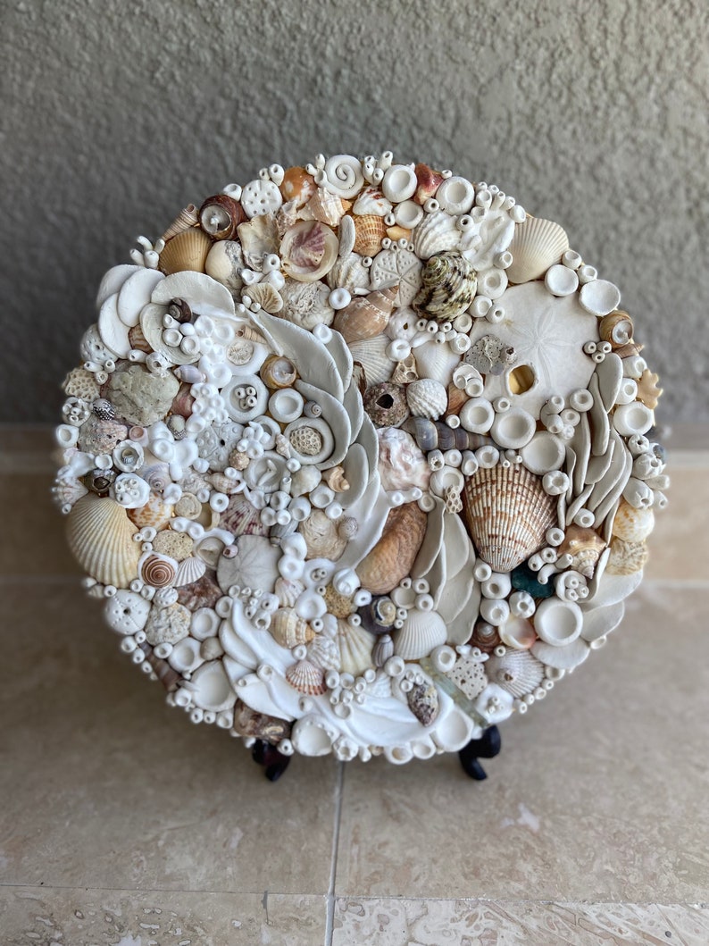 3D Shell Sculpture, Sea Coral Decor, Minimalist Modern, Shell Wave Art ...