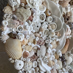 3D Shell Sculpture, Sea Coral Decor, Minimalist Modern, Shell Wave Art ...