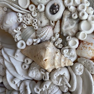 3D Shell Sculpture, Sea Coral Decor, Minimalist Modern, Shell Wave Art ...