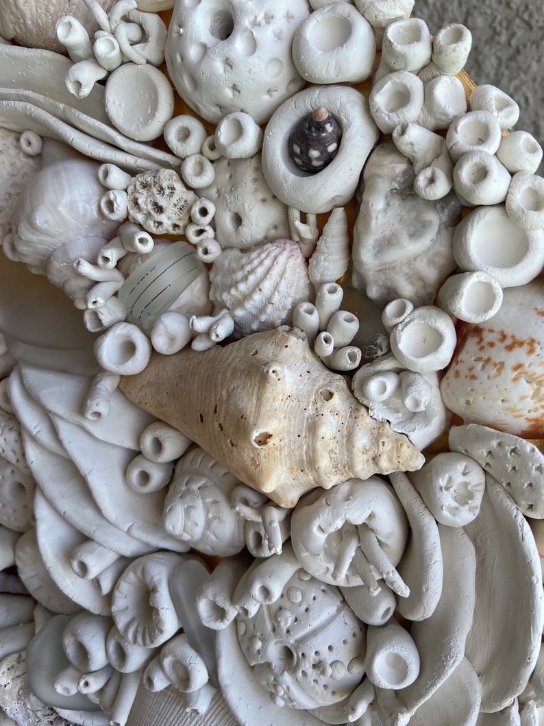 3D Shell Sculpture, Sea Coral Decor, Minimalist Modern, Shell Wave Art ...