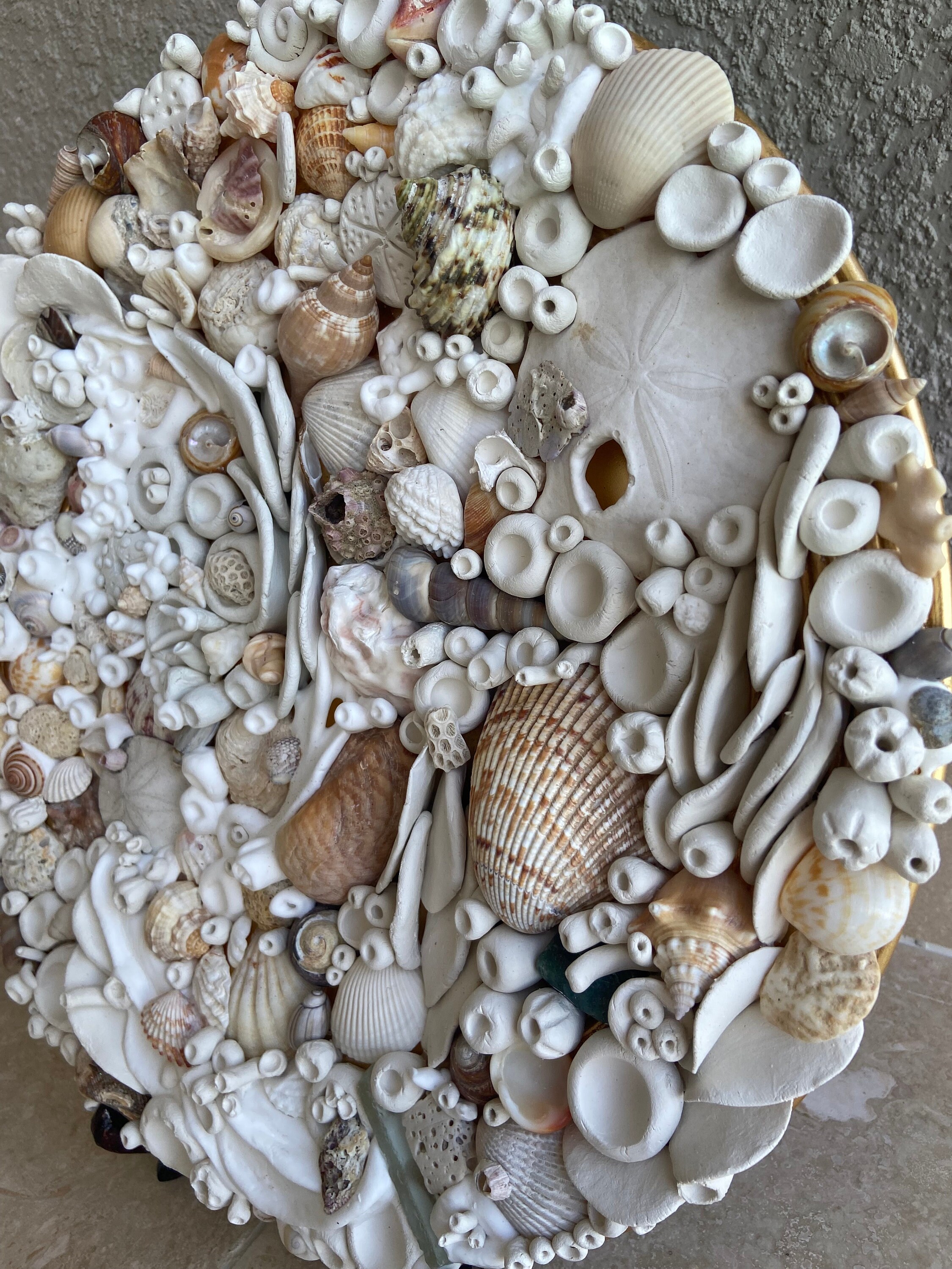 3D Shell Sculpture, Sea Coral Decor, Minimalist Modern, Shell Wave Art ...