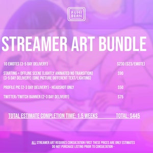 Streamer Art Starter Pack Bundle by FUMI Digital Drawn Fast Delivery ...