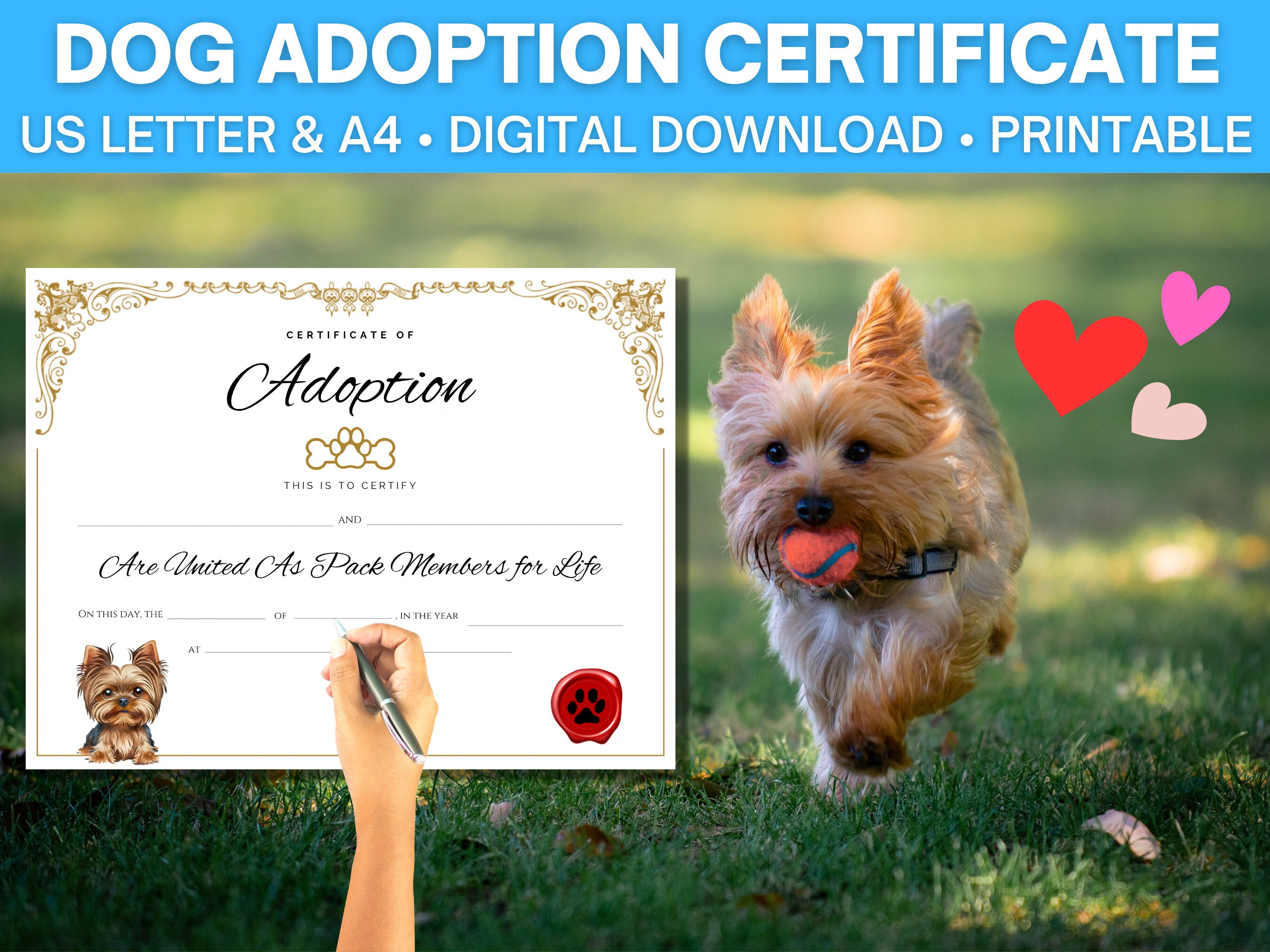 Yorkie Adoption Certificate / US Letter & A4 Sizes / Yorkshire Terrier ...