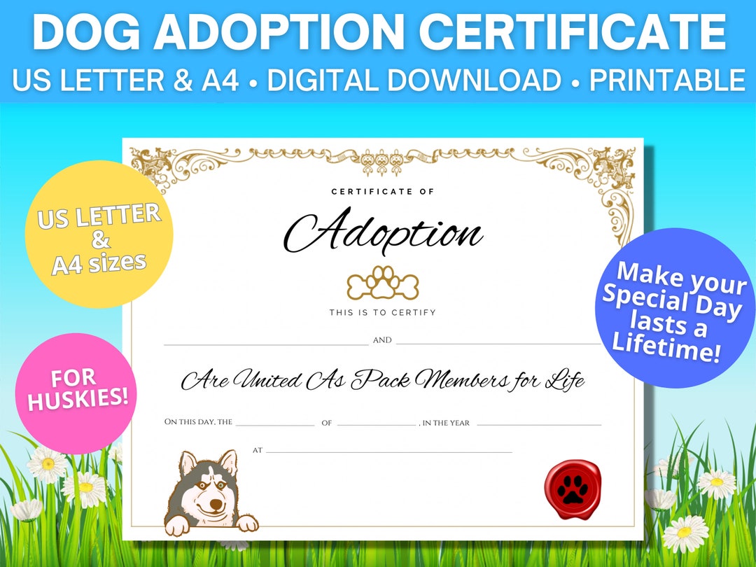Husky Adoption Certificate / US Letter & A4 Sizes / Huskies / Digital ...