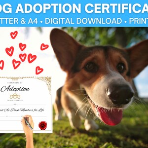 Corgi Adoption Certificate / US Letter & A4 Sizes / Pembroke Welsh ...