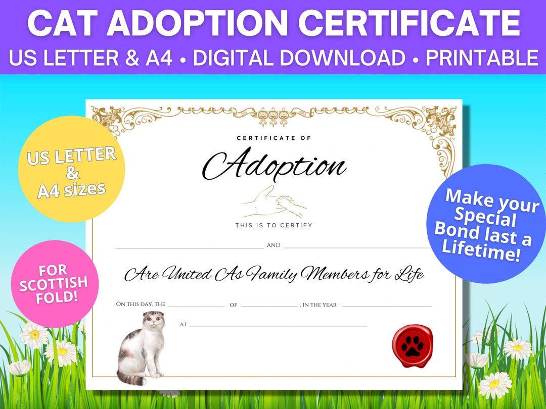 Scottish Fold Cat Adoption Certificate / US Letter & A4 Sizes / White ...