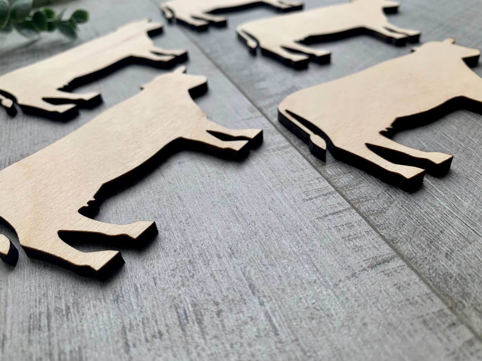 Unfinished Wood Cow Cut Out Blanks DIY Craft Blanks - Etsy