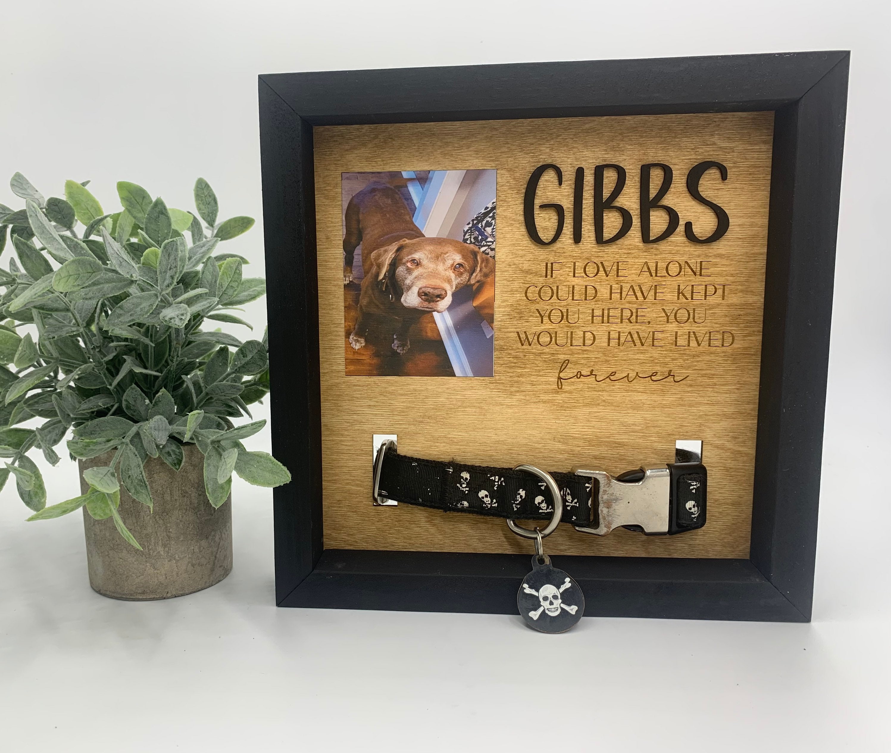 Personalized Pet Memorial Collar Display Dog Remembrance - Etsy