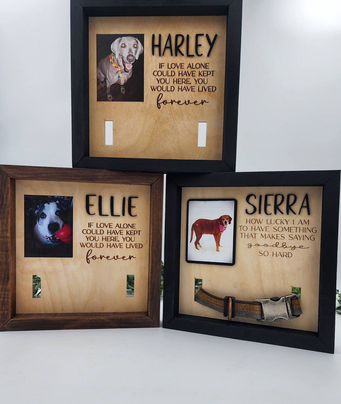 Personalized Pet Memorial Collar Display Dog Remembrance - Etsy