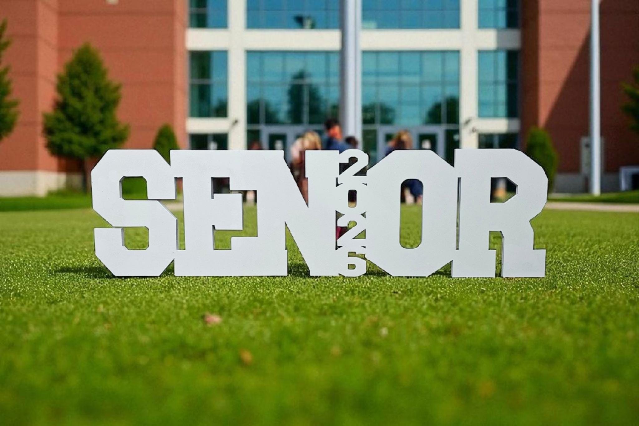 Senior Wood Cutout, Senior Year Picture Prop 2026, Grad Pictures ...