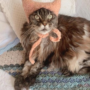 KNITTING PATTERN Cat Hat for Cat With Kitty Ears - Etsy