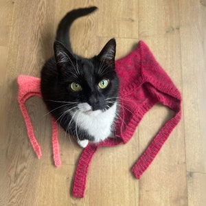 PATTERN Matching Knitted Hats for You and Your Cat - Etsy