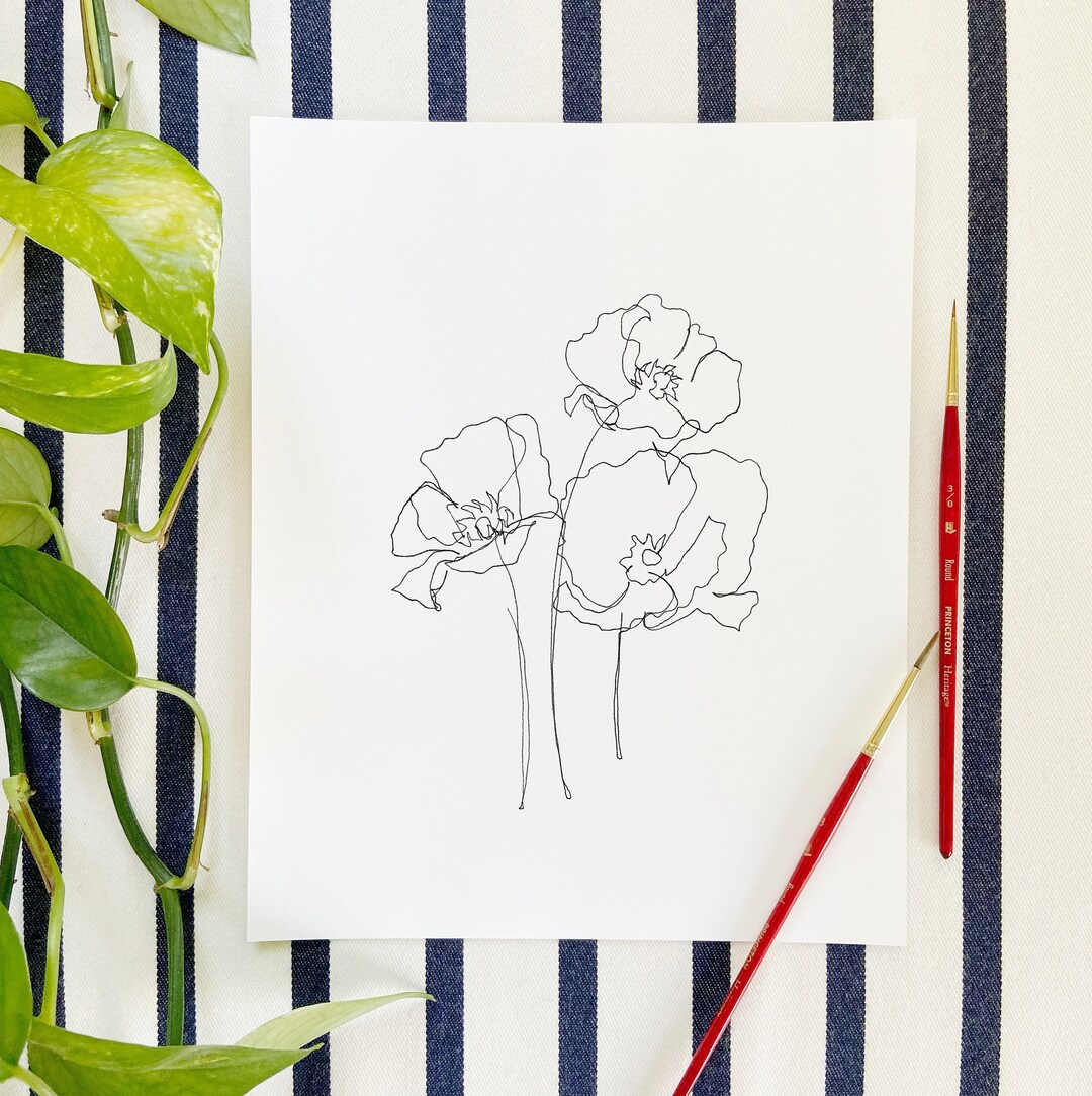 Single Line Drawing Poppies / Blind Contour Poppies / One Line Drawing ...