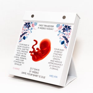 Baby on the Way - Day by Day Pregnancy Calendar | Pregnancy Journal ...