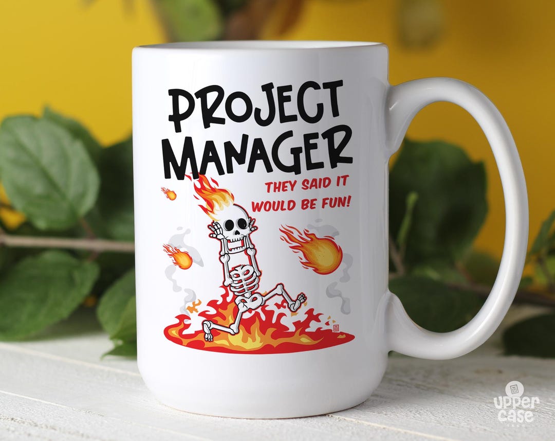 Project Manager Mug – They Said It Would Be Fun Funny Office Coffee Cup ...