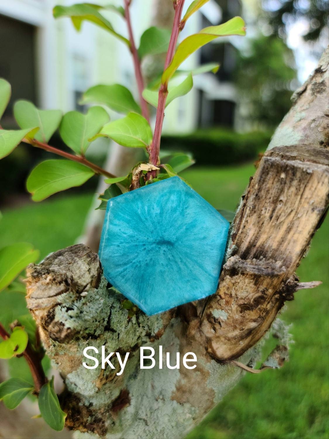 Pearlized Tag Collection - Etsy