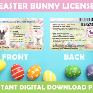 Easter Bunny License Blue PNG, Sublimation Designs, Instant Digital ...
