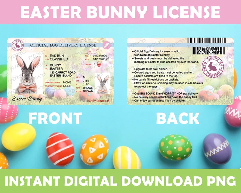 Easter Bunny License Blue PNG Sublimation Designs Instant - Etsy