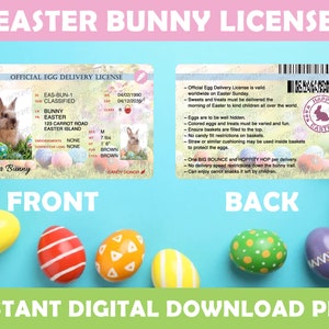 Easter Bunny License Blue PNG, Sublimation Designs, Instant Digital ...