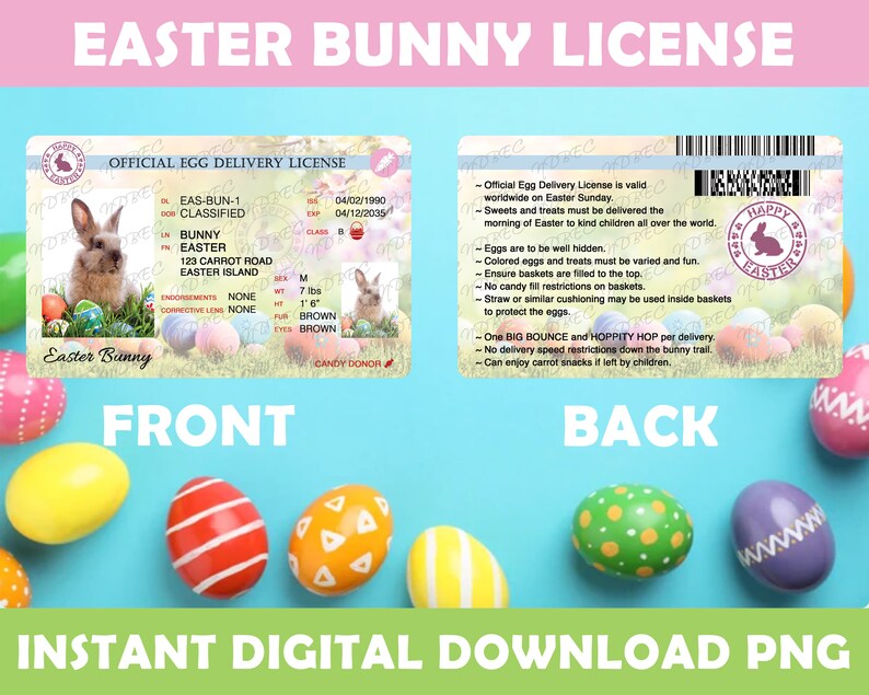 Easter Bunny License Blue PNG, Sublimation Designs, Instant Digital ...